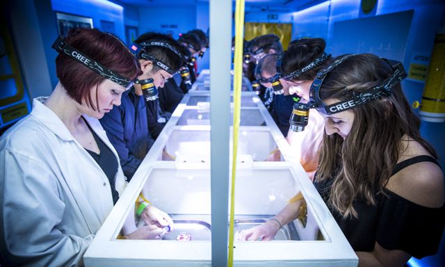 Tickets to Gingerline’s five-course immersive dinner experience ...